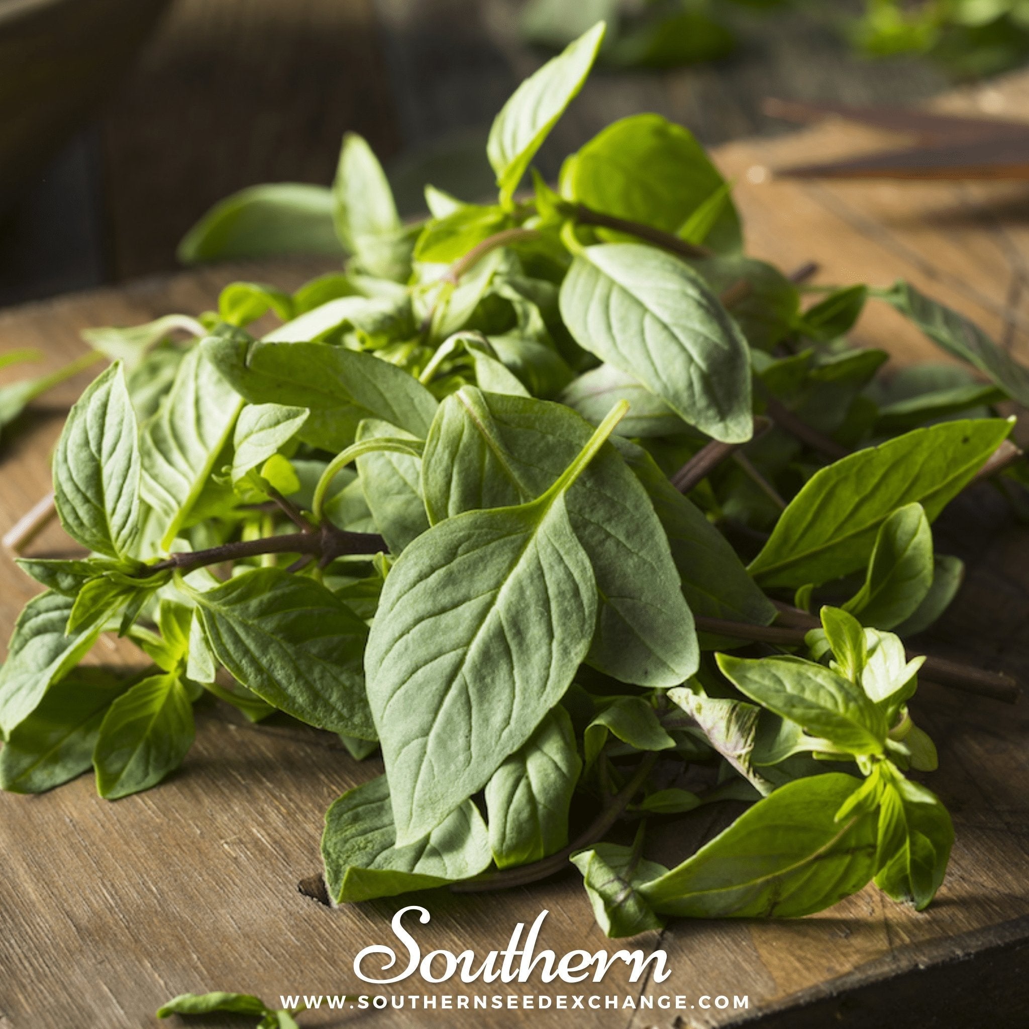 Thai Siam Queen Basil – 250 Seeds – Jug Sow