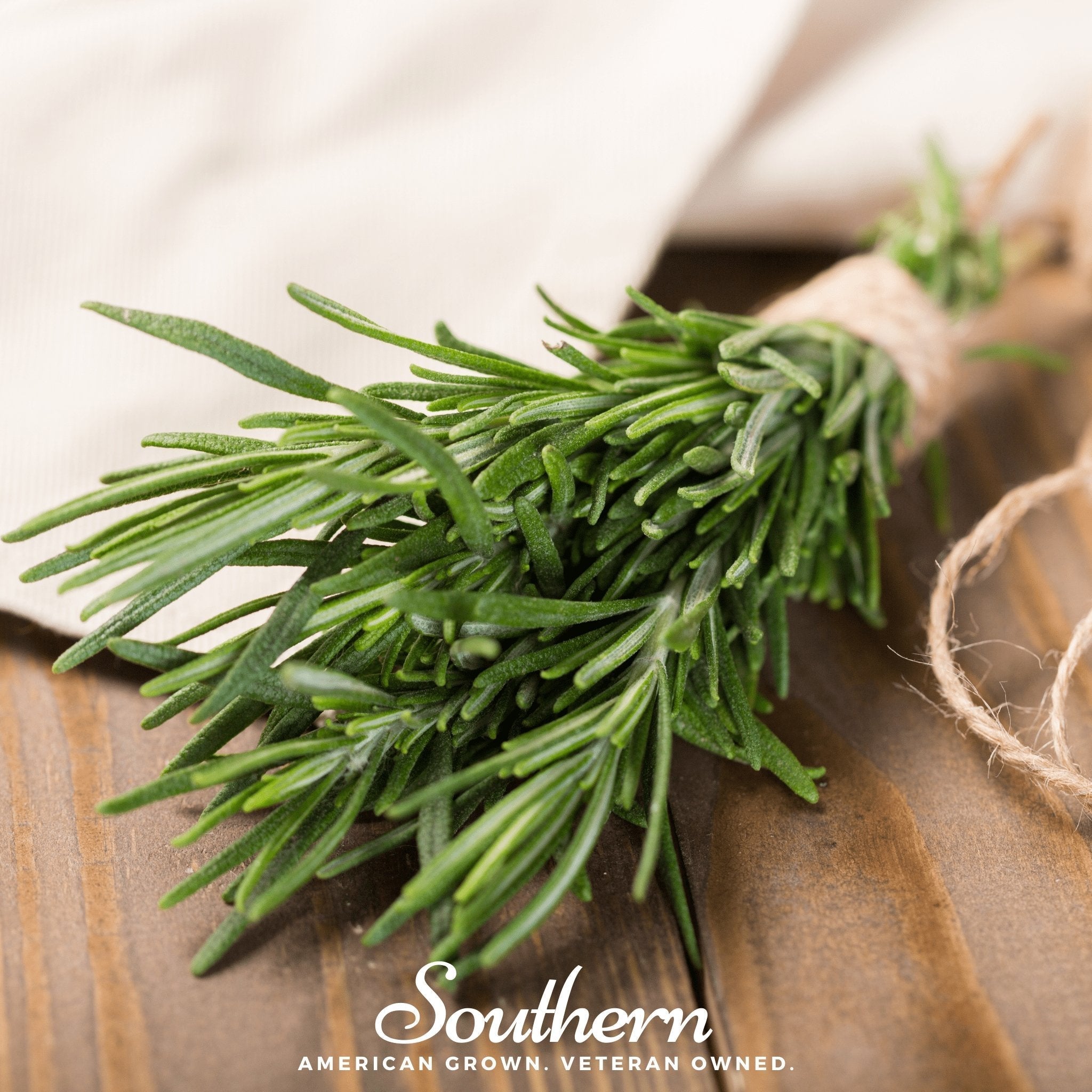 Rosemary – 50 Seeds – Jug Sow